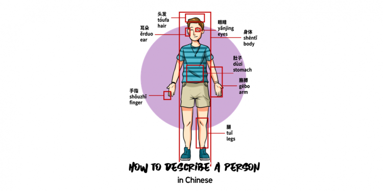 Chinese Vocabulary: Physical Characteristics and Personality