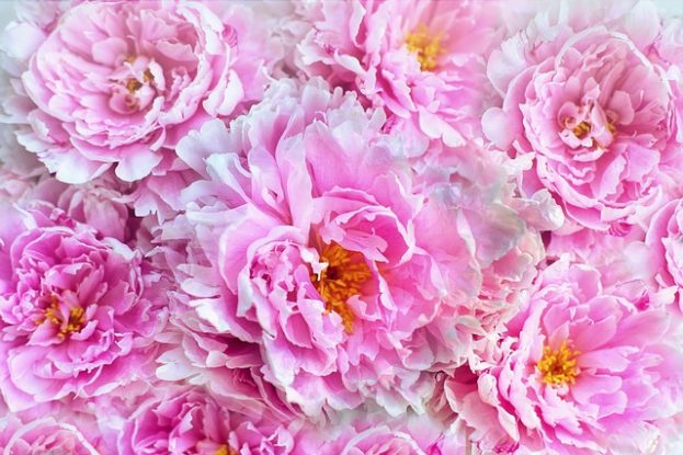 10 Most Beautiful Chinese Words - mydailychinese.com